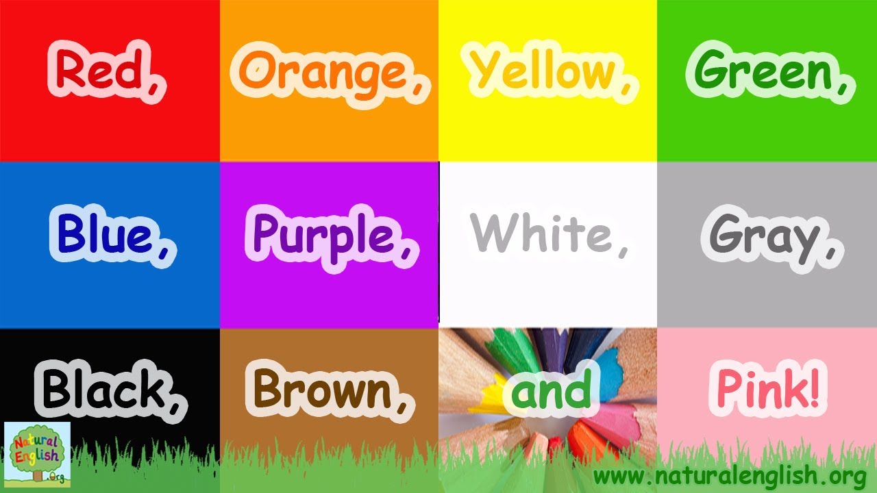 The Colors Song Learn The Colors Colours LEARN ENGLISH With