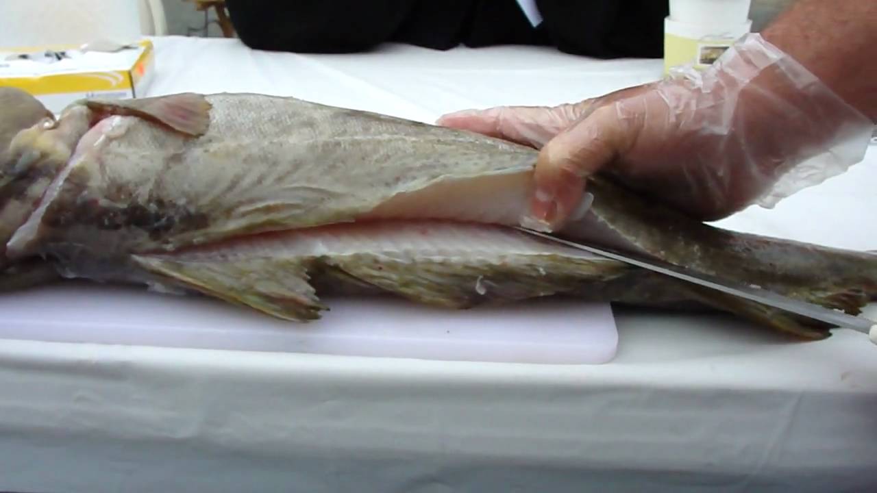 How To Fillet A Codfish Demo At The Cape Ann Farmer's Market - YouTube