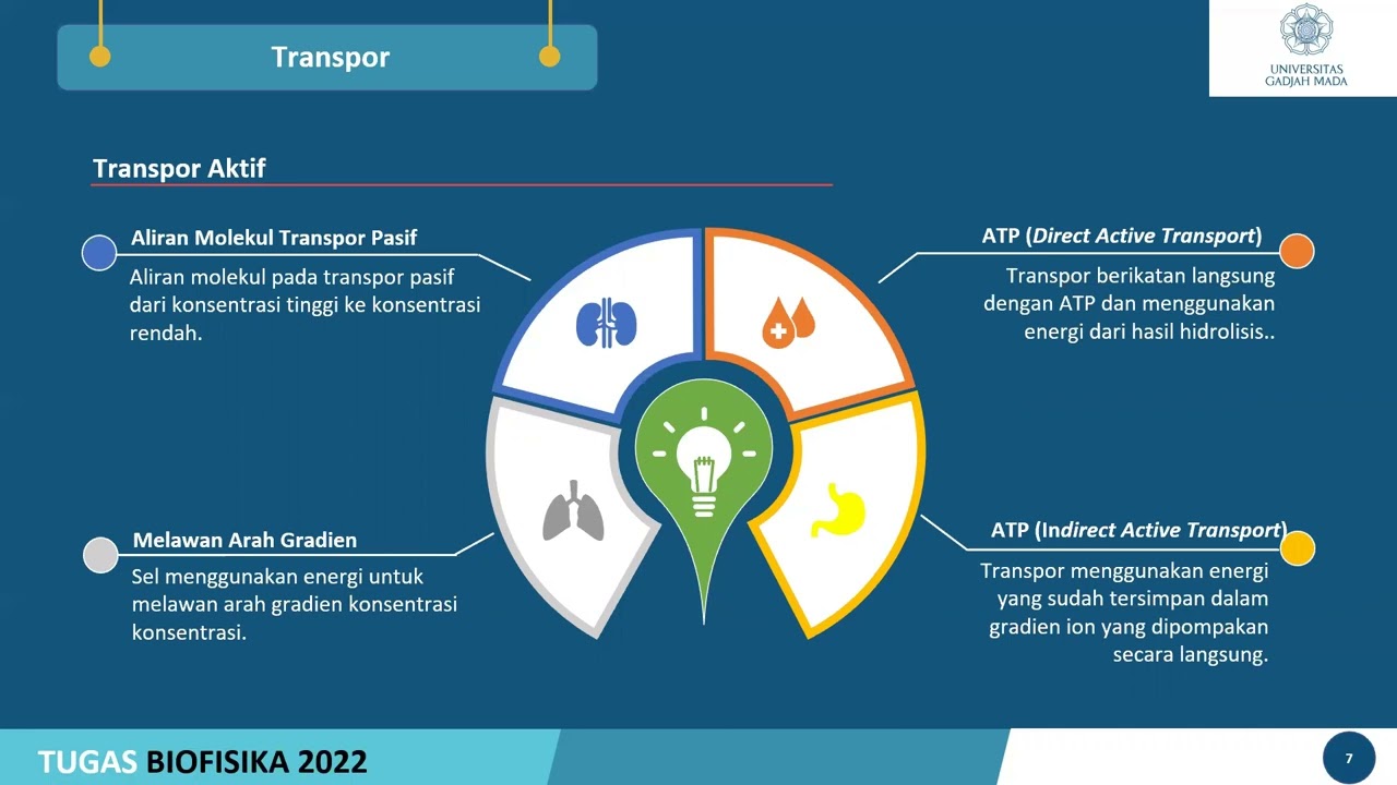 Tugas Biofisika - BIOFISIKA : Physical Idea - YouTube