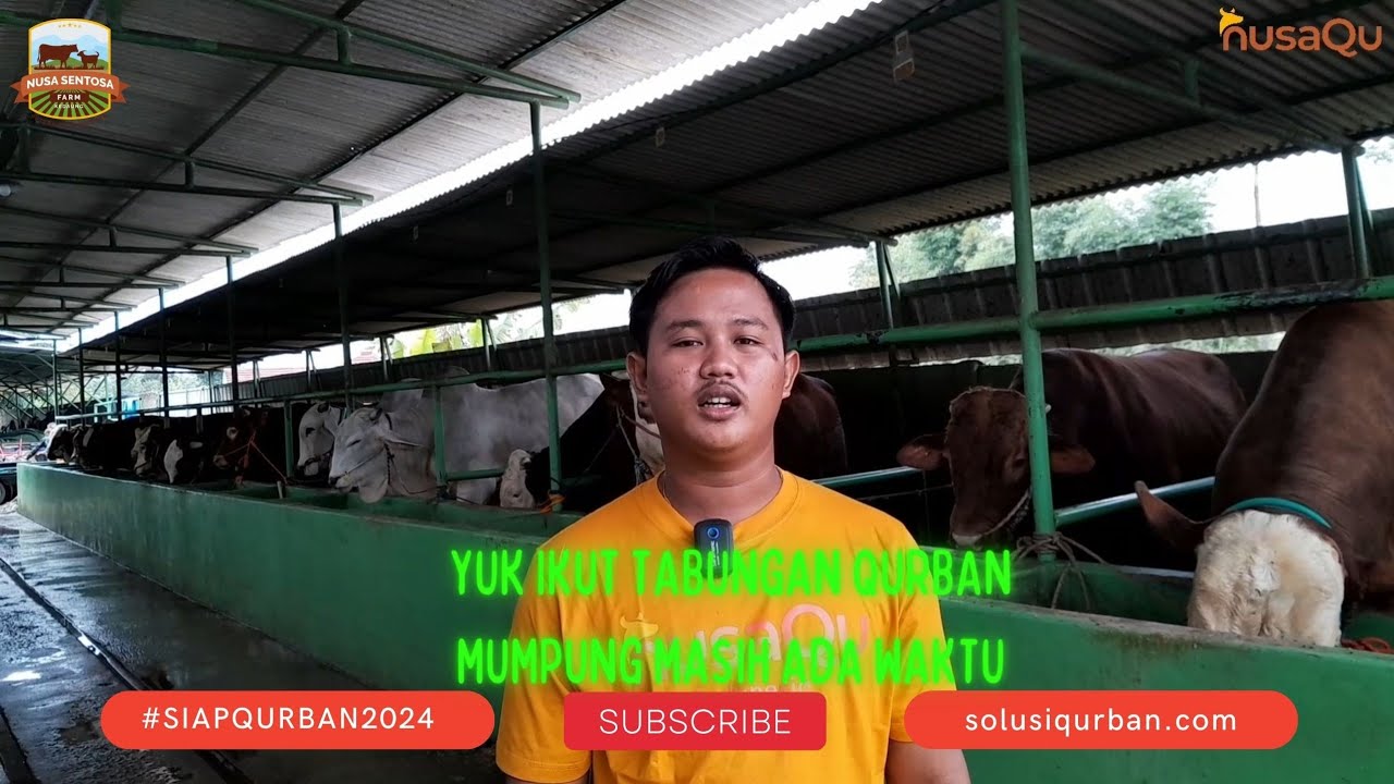 Batas Akhir Program Tabungan Qurban | Siap Qurban 2024 | NusaQu - YouTube