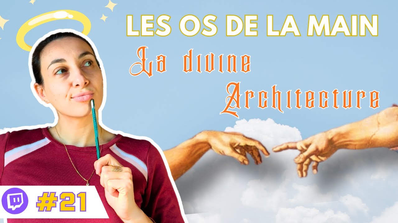 Carpe, métacarpe, phalanges : le guide visuel complet des os la main ...