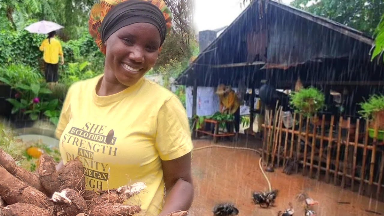 WE FOUND BUSH MEAT ON OUR CASSAVA FARM|| HEAVY RAINY DAY IN THE RURAL ...