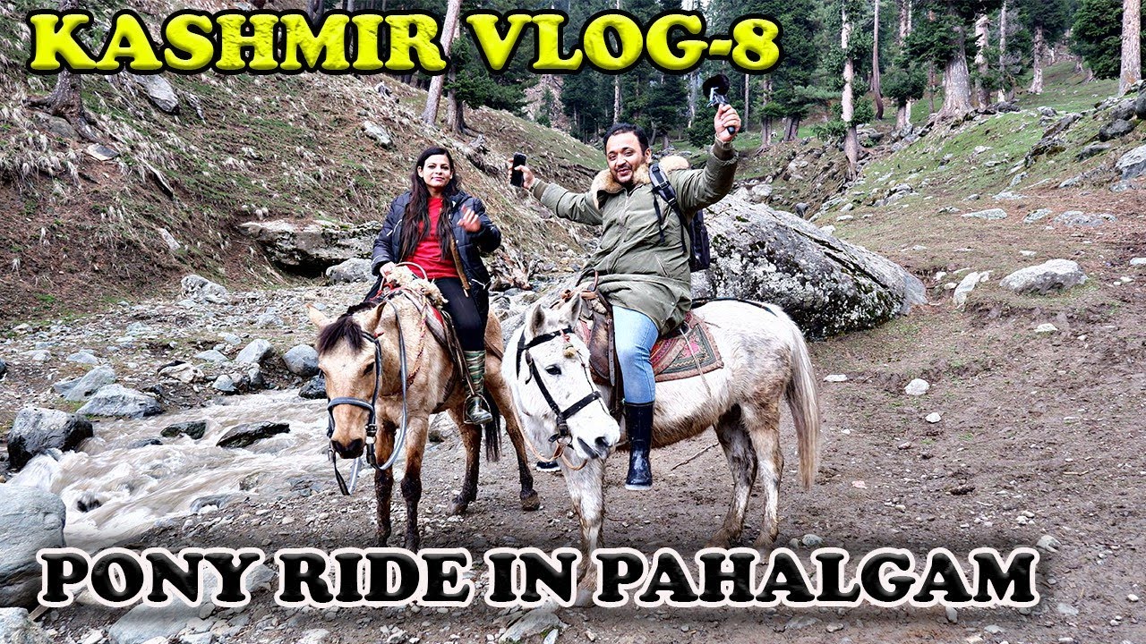 Kashmir Tour | Pahalgam Vlog Ep 08 | Pony Ride in Pahalgam | Baisaran ...