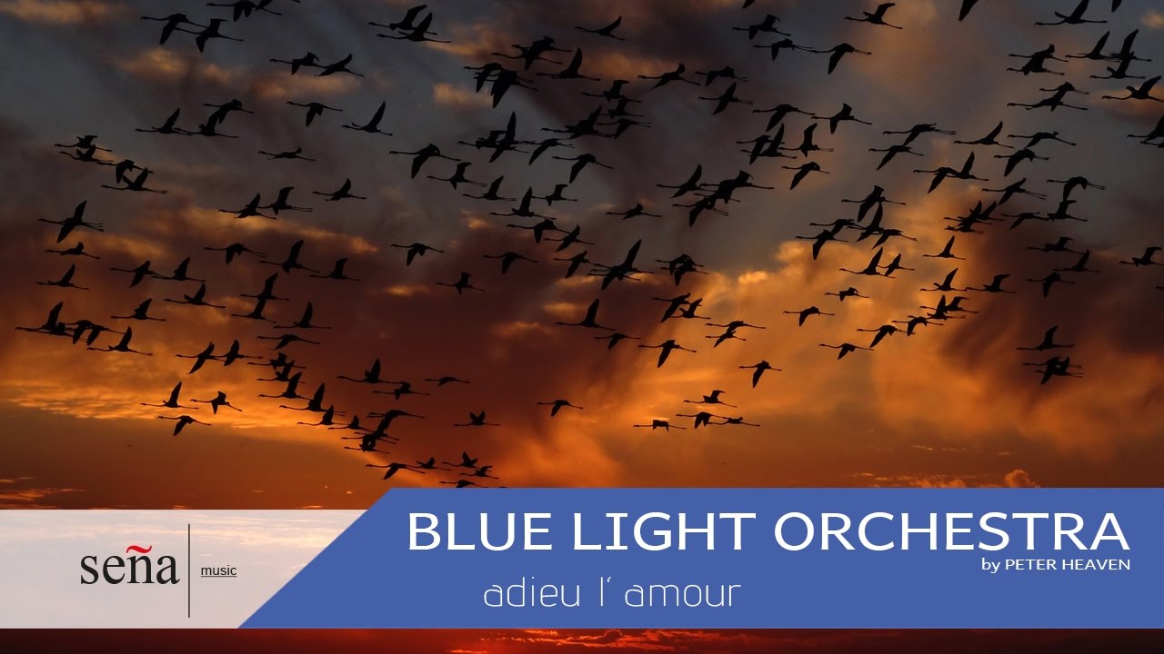 PETER HEAVEN & blue light orchestra - adieu l´amour - YouTube