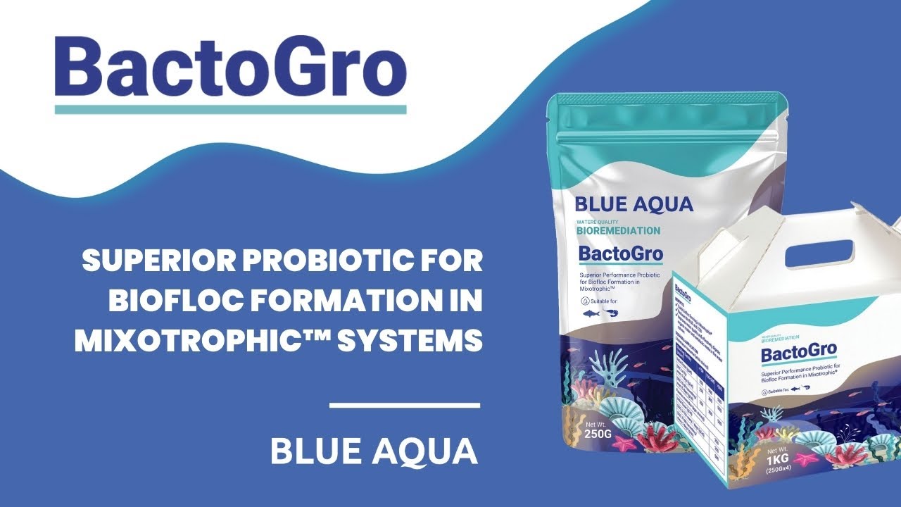BactoGro: The Key to Better Water Quality in Aquaculture - YouTube