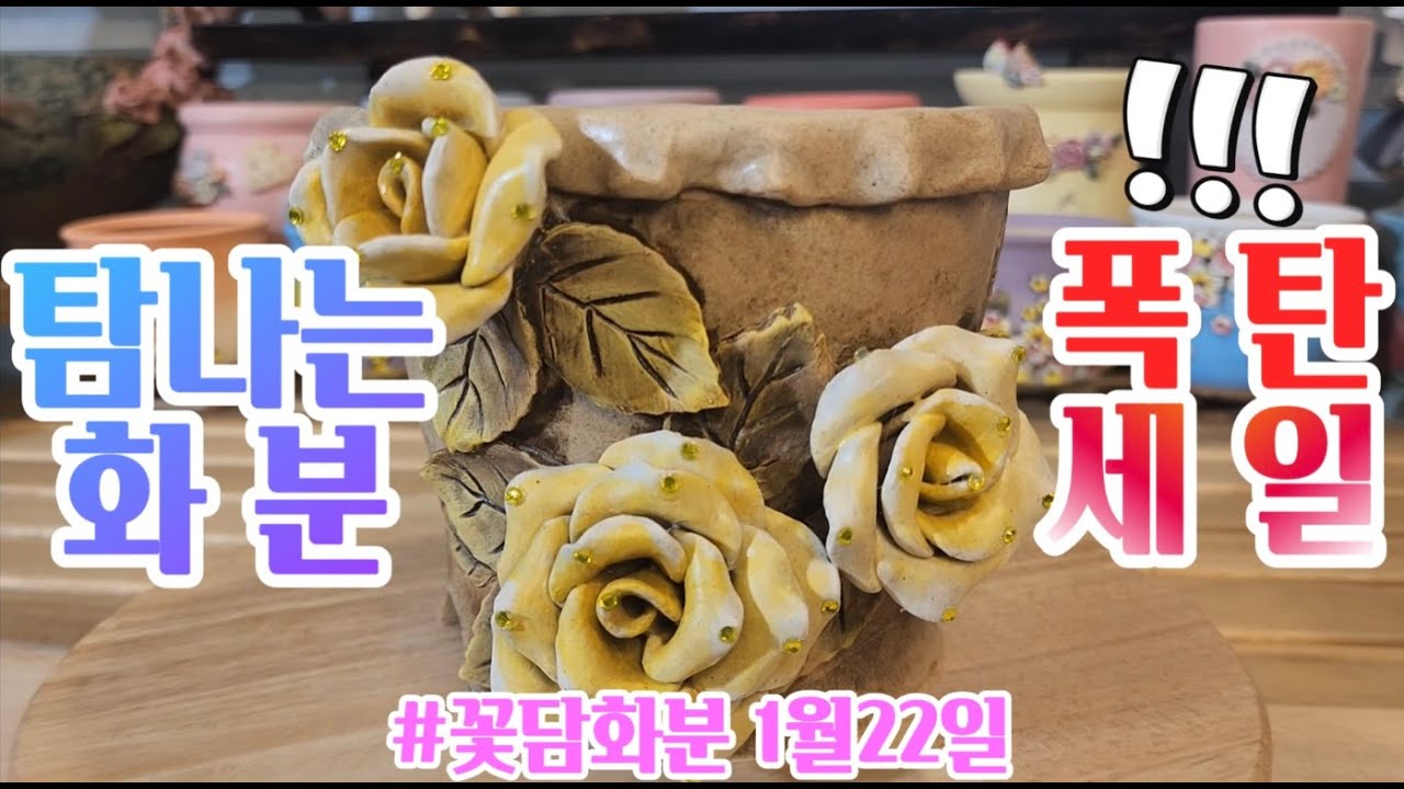 1월22일 탐나는화분 폭탄세일 꽃담다육스토리예쁜화분화분싸게파는곳다육식물多肉植物succulents다육이꽃담화분다육화분꽃담다육스토리화분 Youtube