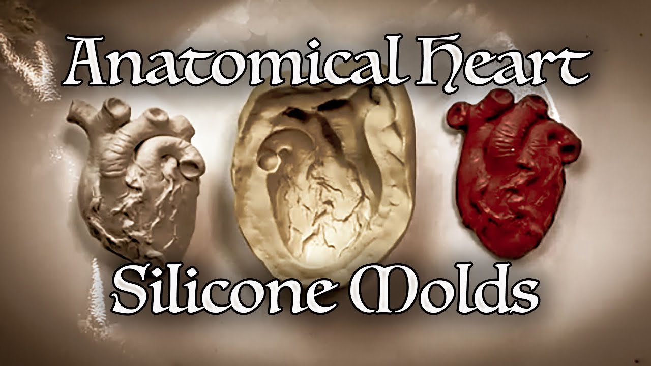 Making Anatomical Heart Silicone Molds - YouTube