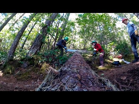 2015-11-27 Mt Walker WTA Trail Crew - YouTube