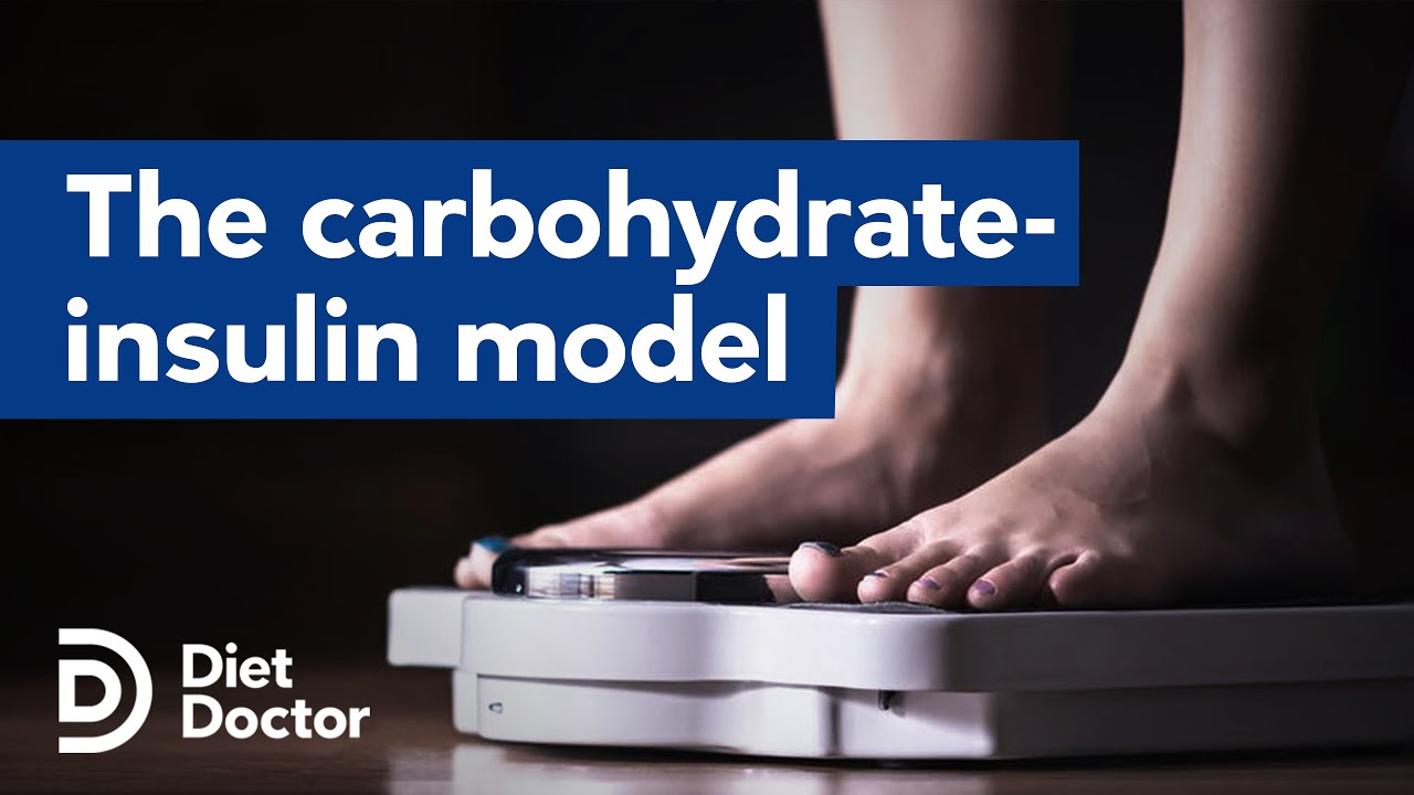 Carbohydrate–Insulin Model , Understanding Obesity Through a New Lens ...