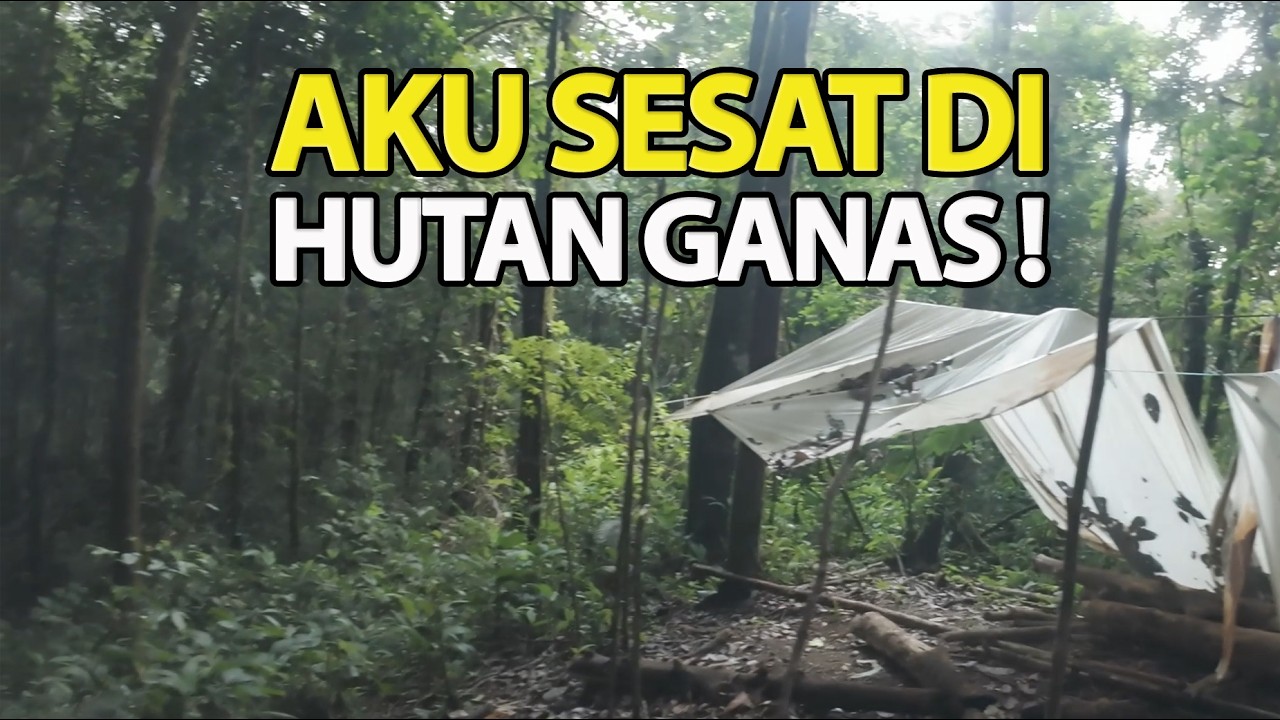 Misteri Sesat ke Alam Bunian. Mungkin ini Tanda-tanda Orang Sesat Dalam ...