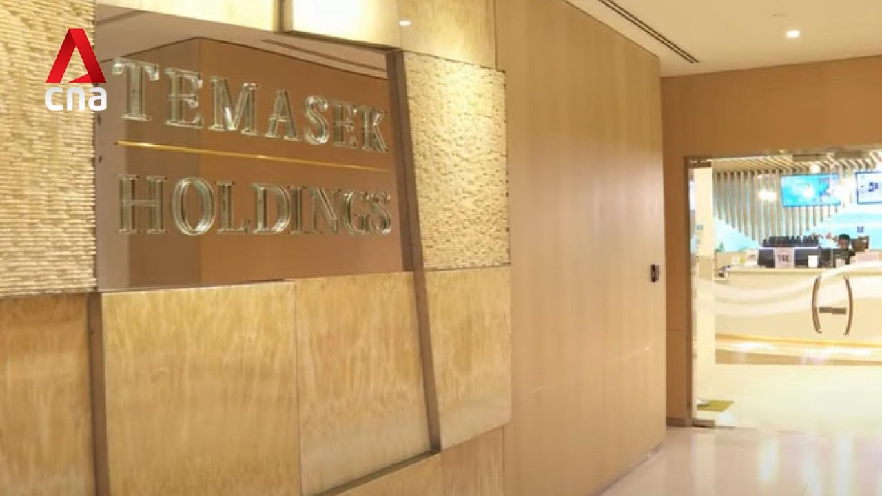 Temasek's net portfolio value soars to record high of S$434b - YouTube