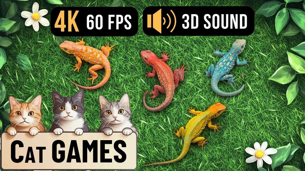 12 Hour Cat Games Compilation - Ribbons, Birds & Mice! Ultimate Fun for ...