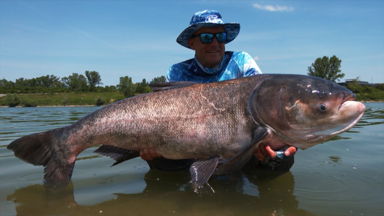 Haldorádó - Döme Gábor - A busa sportszerű horgászata 2. rész - Az ...