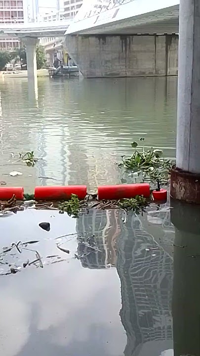 may mga bata naliligo sa ilog pasig - YouTube