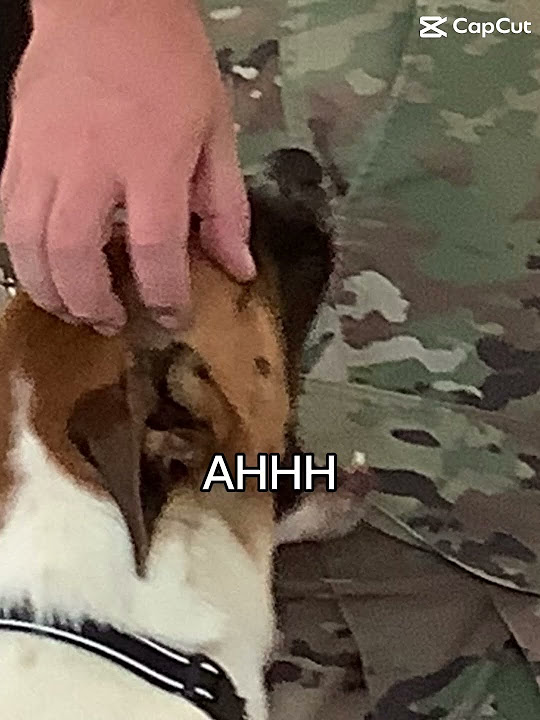 AHHHHH, AHHHHH, AHHHHH - YouTube