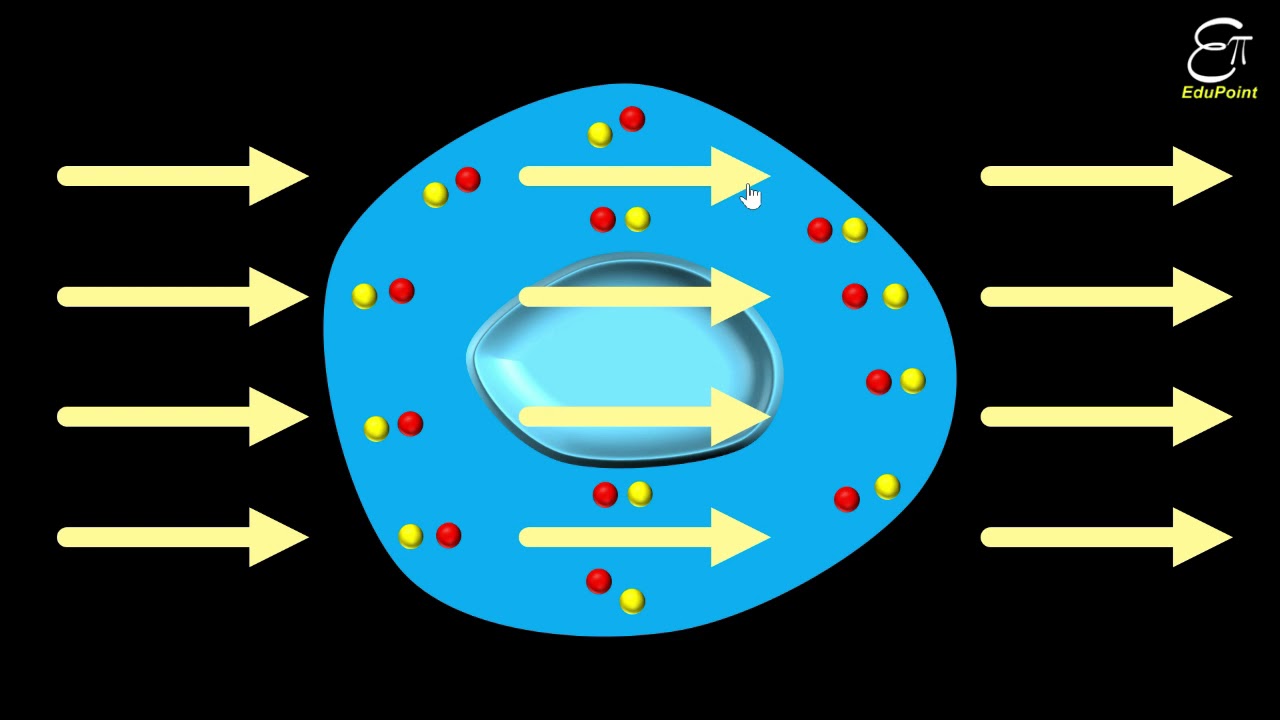 Electrostatic Shielding || Electrostatics of Conductors - 6 - YouTube