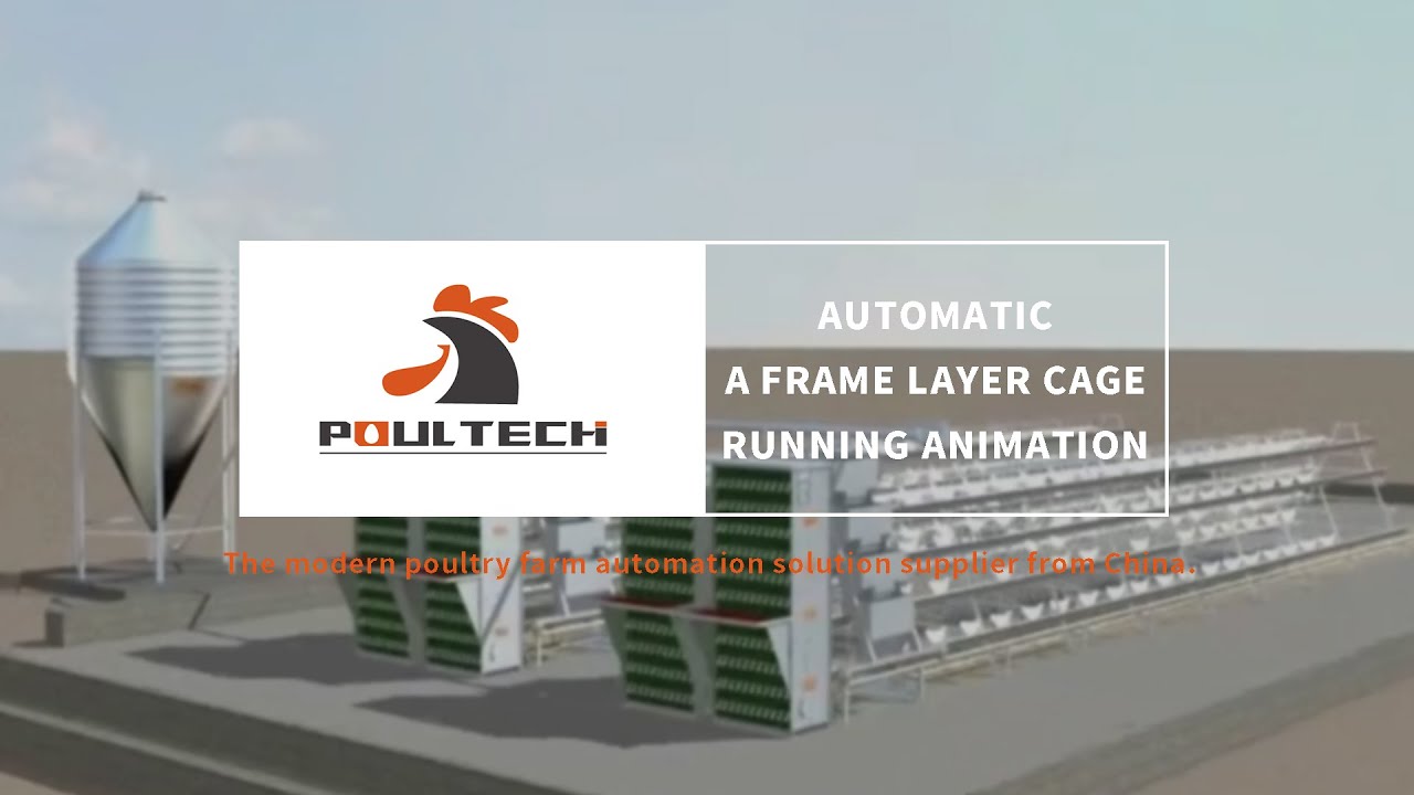 Automatic A Frame Layer Cage Running Animation -- POUL TECH™ - YouTube