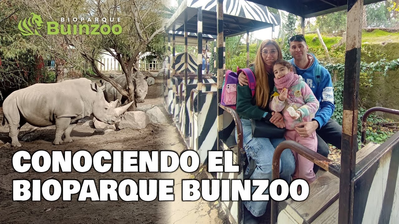 Conocemos el zoológico más grande de Chile: Bioparque Buinzoo - YouTube