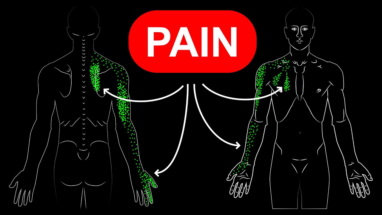 Unlocking Scalene Muscles: The Key to Pain Relief - YouTube
