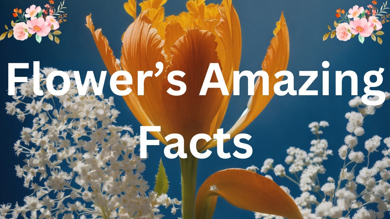 🌸🌍 **AMAZING FACTS ABOUT FLOWERS | Nature’s Most Beautiful & Mysterious ...