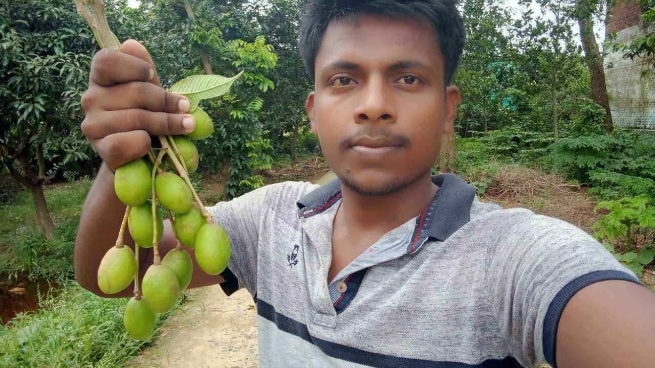 Sabse Khata Fruits In MY Garden - YouTube