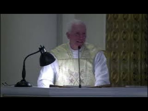 Fr. Joseph Illo's Sunday Homily. June 11, 2023 - YouTube