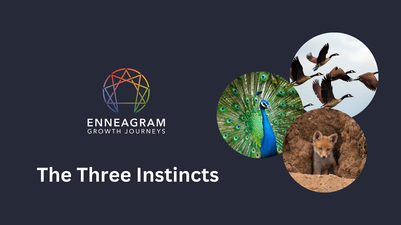 Enneagram Coach London: The Three Instincts - YouTube
