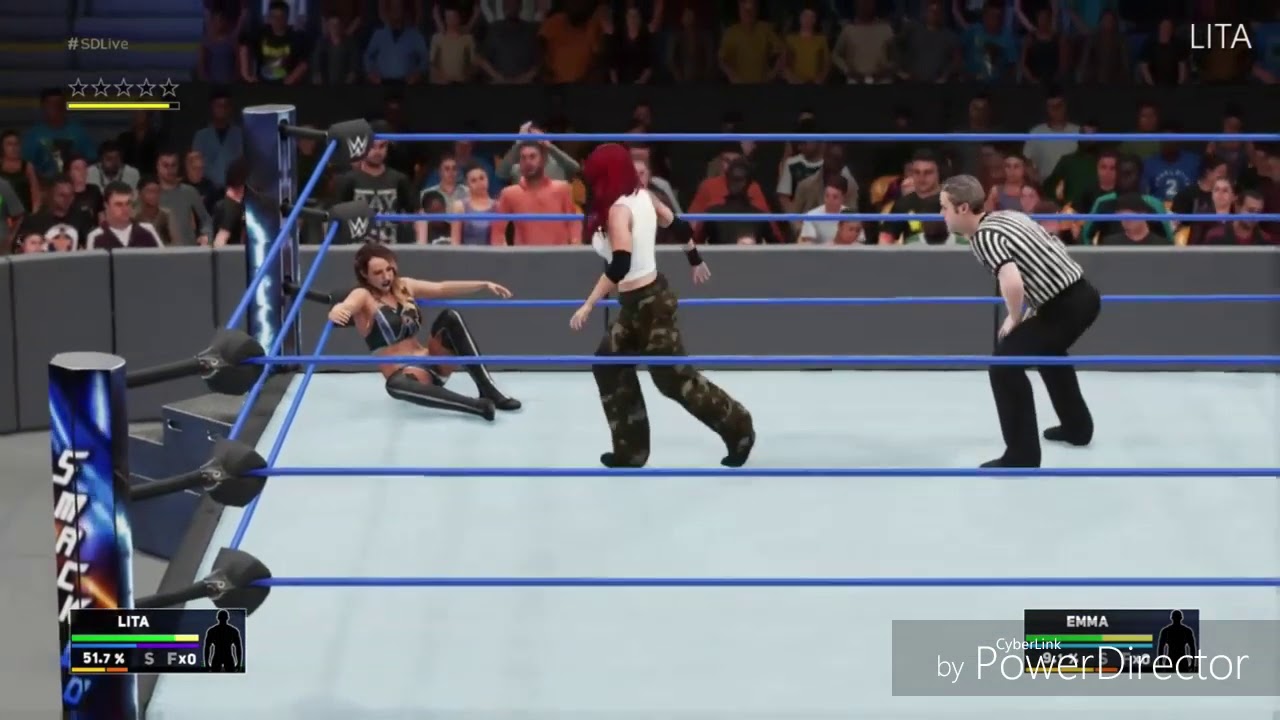 WWE Divas Stinkface Montage - YouTube