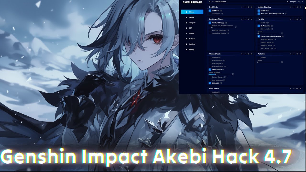 Genshin Impact Akebi Hack 4.7 | Free Private Cheat | Undetected [PC ...