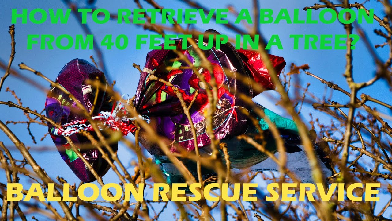 Balloon Rescue Service - Retrieving a bunch of Balloons from 40 feet up ...