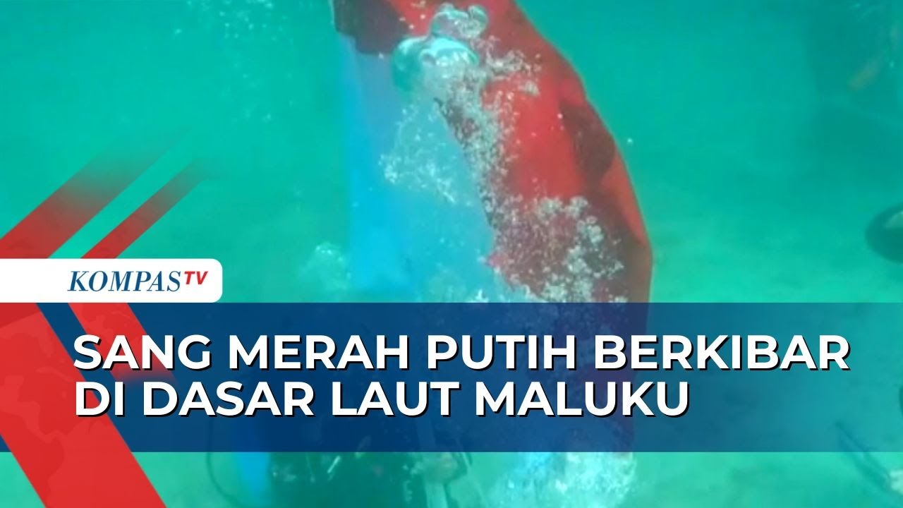 Lantamal IX Ambon Gelar Upacara HUT ke-78 RI di Bawah Laut Negeri Hitu ...
