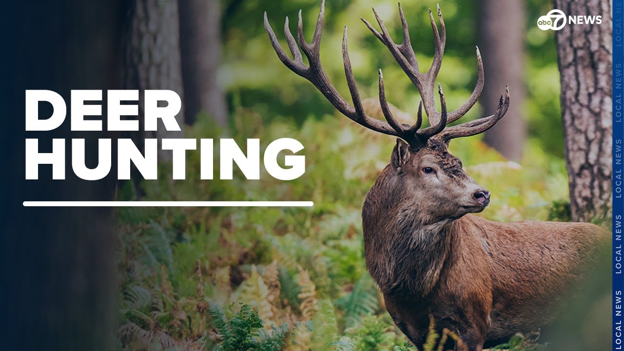 Applications open for deer hunting season permits: Apply now! - YouTube