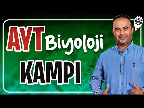 AYT Biyoloji Kampı 2025 🔬 | Sindirim Sistemi Konu Anlatımı ve Soru Çözümü