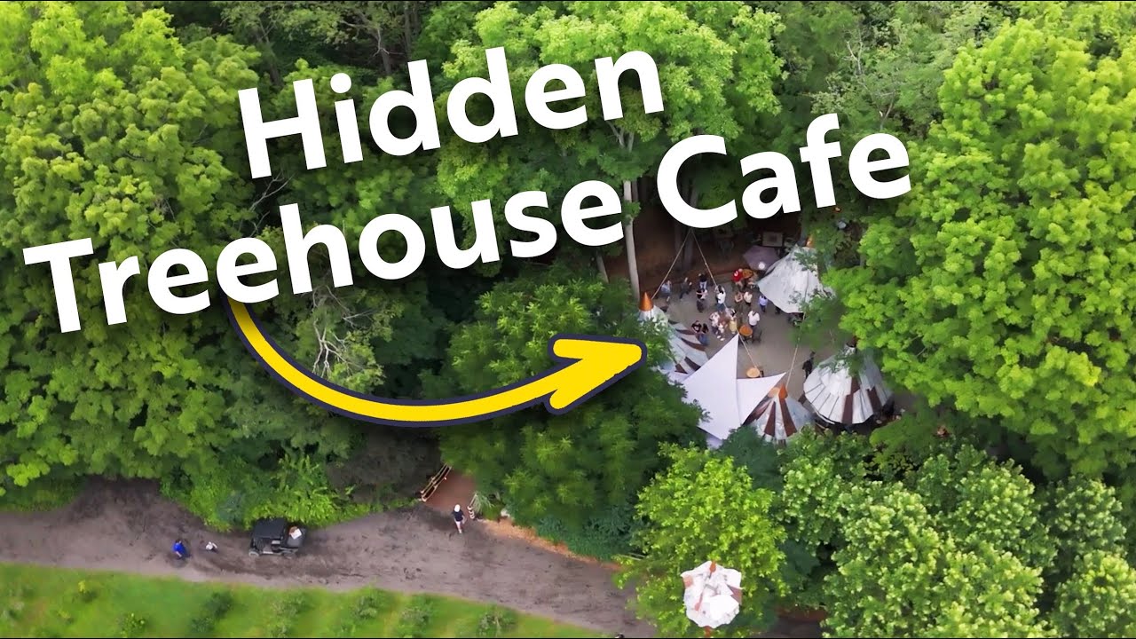 Blueberry TreeHouse Cafe: A Unique Farm Experience in West Falls NY ...