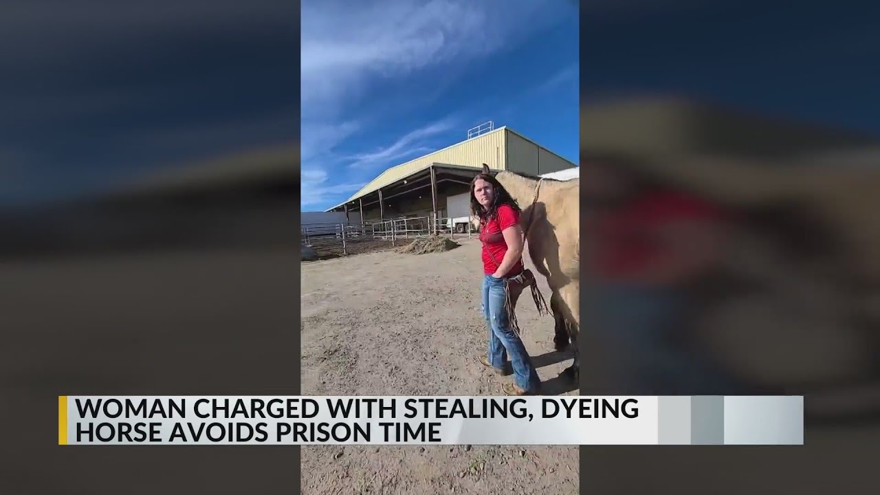 Woman charged with stealing horse avoids prison time - YouTube
