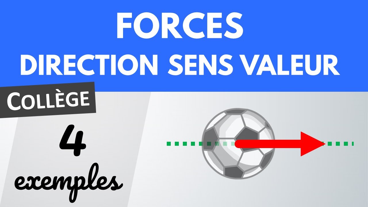 FORCE : direction, sens, valeur : quelles différences ? | Collège ...
