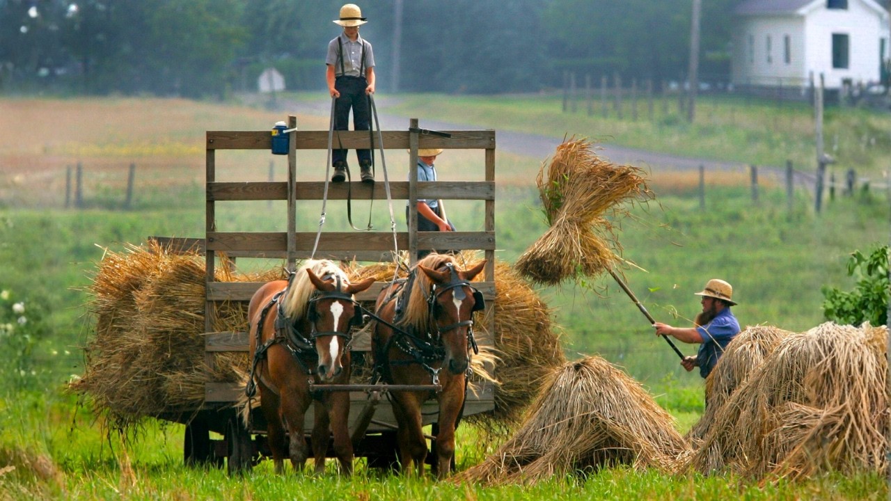 Inside the Secret Amish Farm! The 80-Acre Farm of the World's Most ...