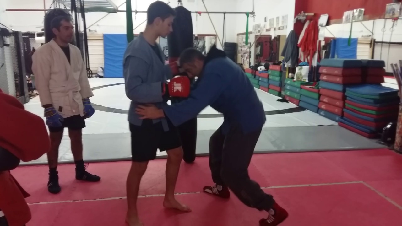 Sambo combat 2017 - YouTube