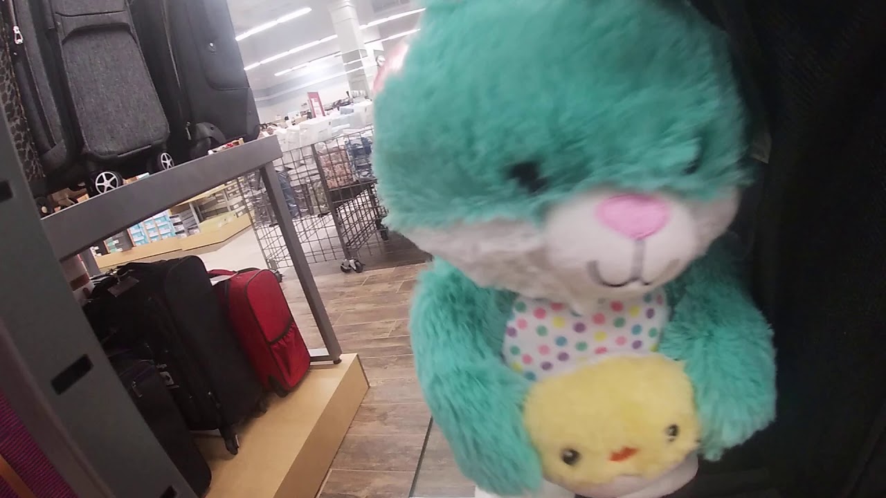 Cuddle Barn Hoppin' Honeybunch Do the Bunny Hop - YouTube