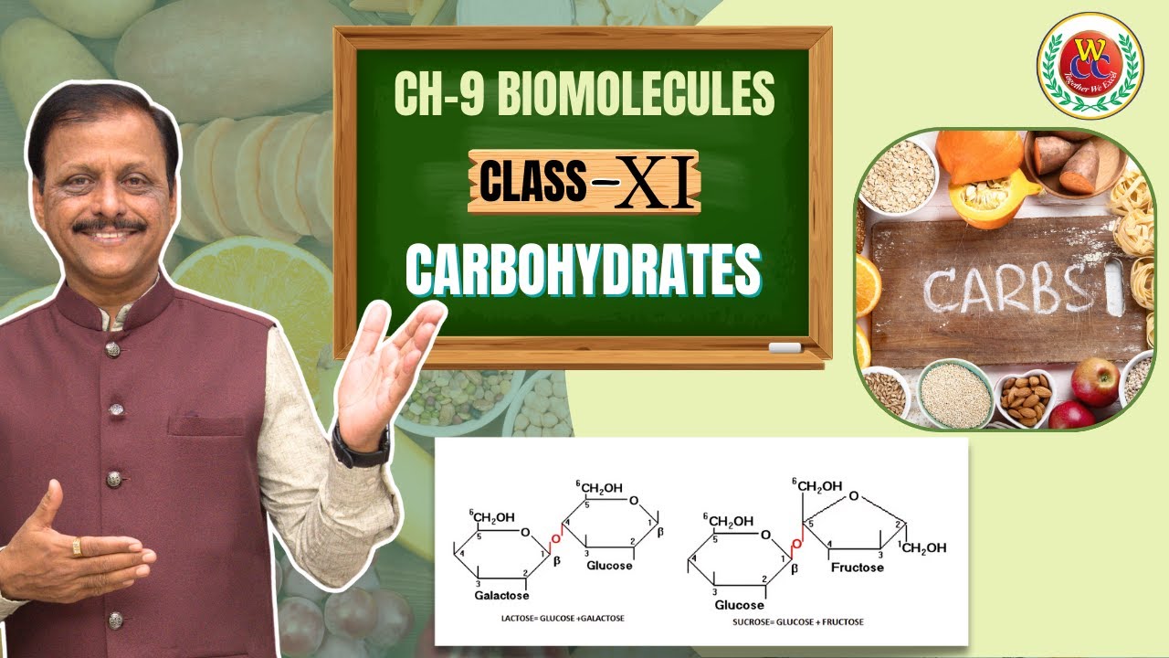 Carbohydrates one shot Lecture | Ch-9 Biomolecules | Class 11 | CBSE ...