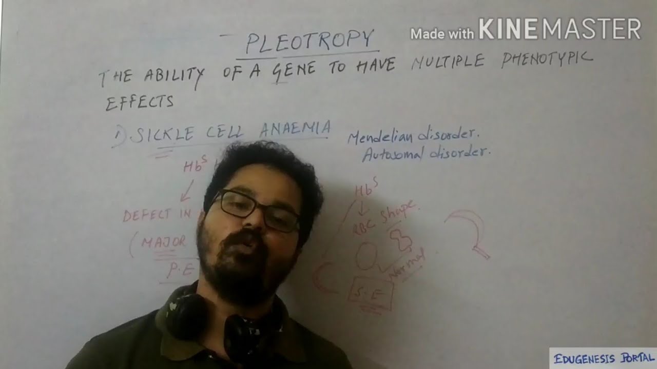 Pleotropy | Pleiotropic gene | Genetics | Principle of Inheritance and ...