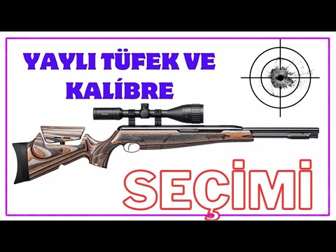 Yeni Başlayanlar İçin Yaylı Havalı Tüfek ve Kalibre Seçimi