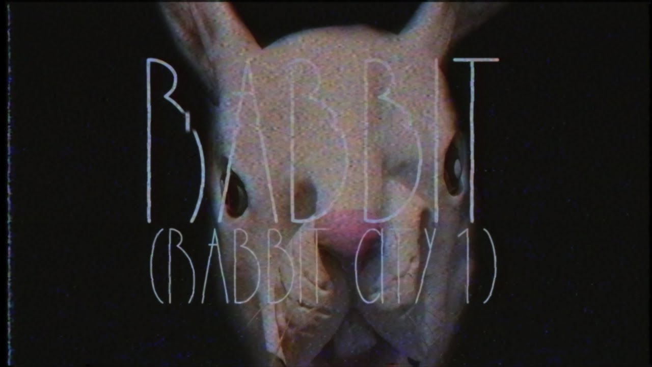 Rabbit (Rabbit City #1) - YouTube