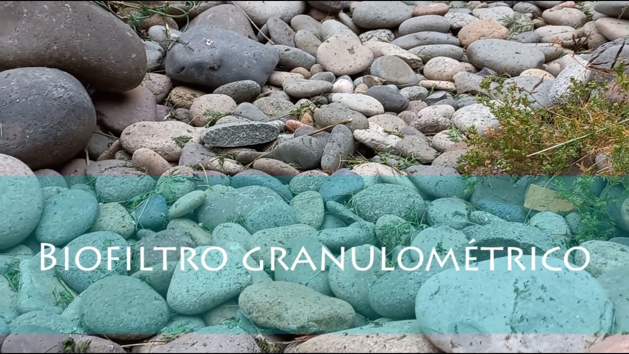 Construcción de Biofiltro granulométrico - Filtro biológico - Jardinera ...