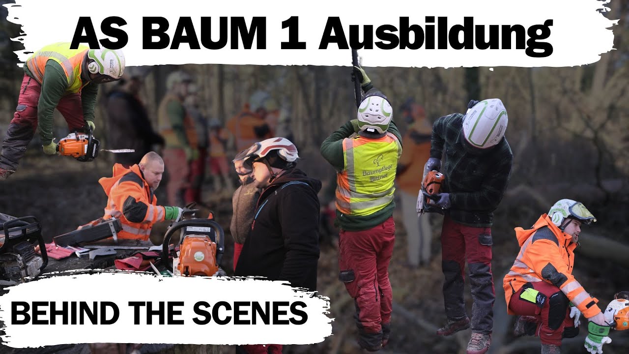 AS BAUM 1 Behind The Scenes bei Baumpflege Bittner - YouTube