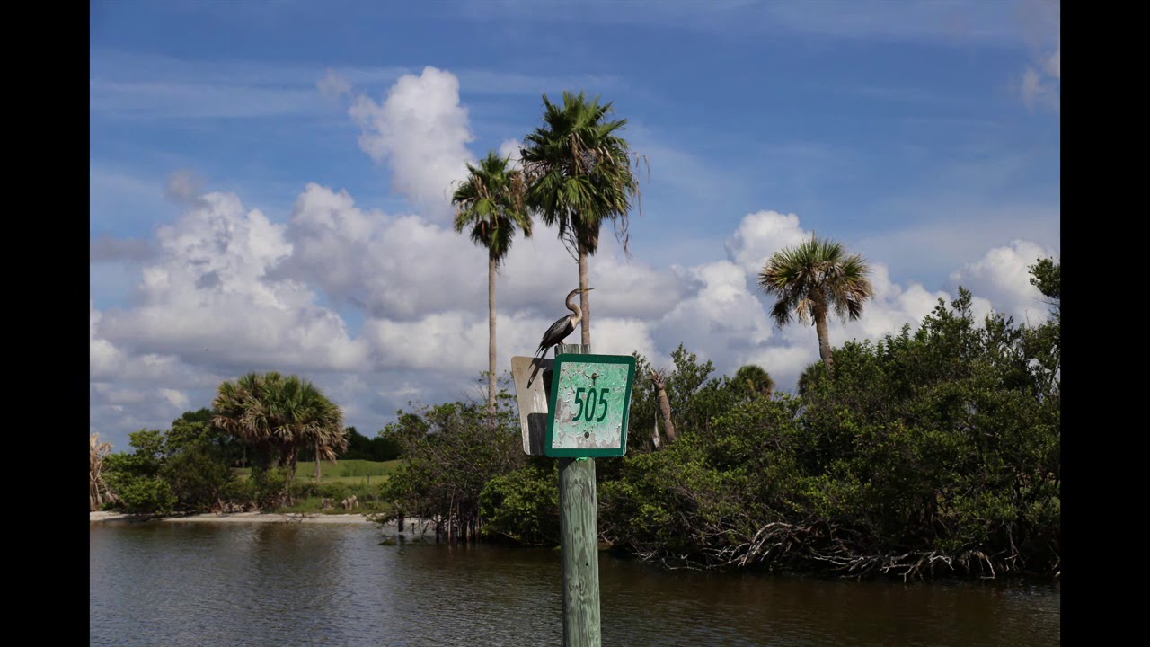 Banana River Merritt Island, Florida - YouTube