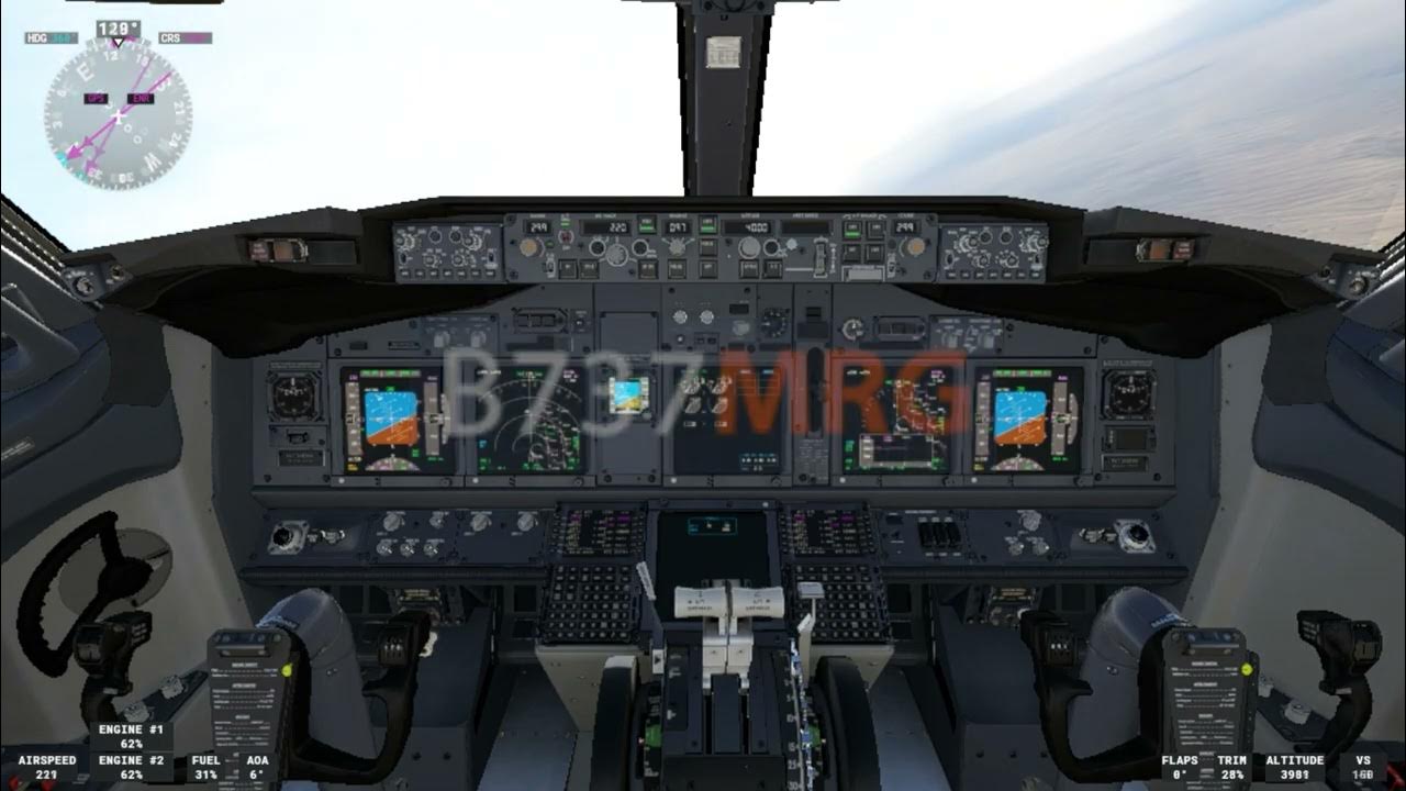 Boeing 737-800NG Flight Instruments, Displays system review - Non ...