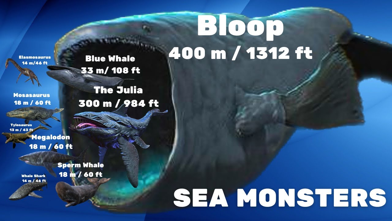 REAL SIZE | COMPARISON of SEA MONSTERS | The Julia | Bloop | El Gran ...