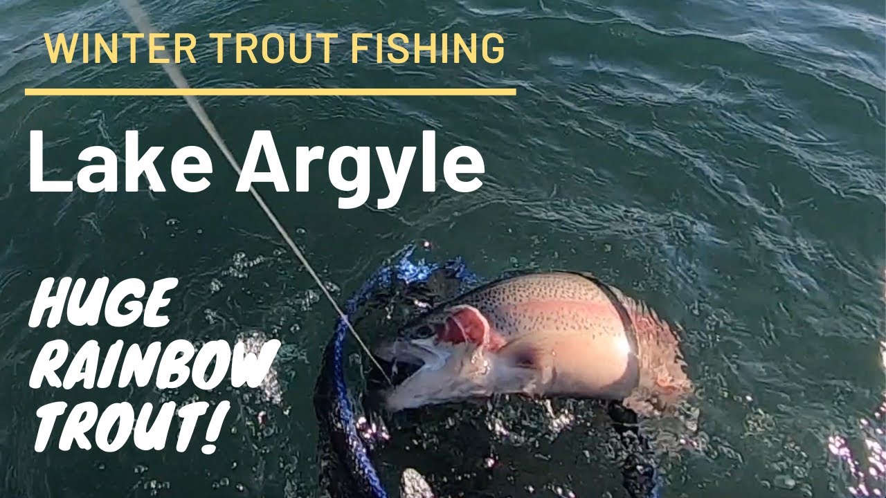 Lake Argyle - Epic Trout Fishing | South Island, New Zealand - YouTube
