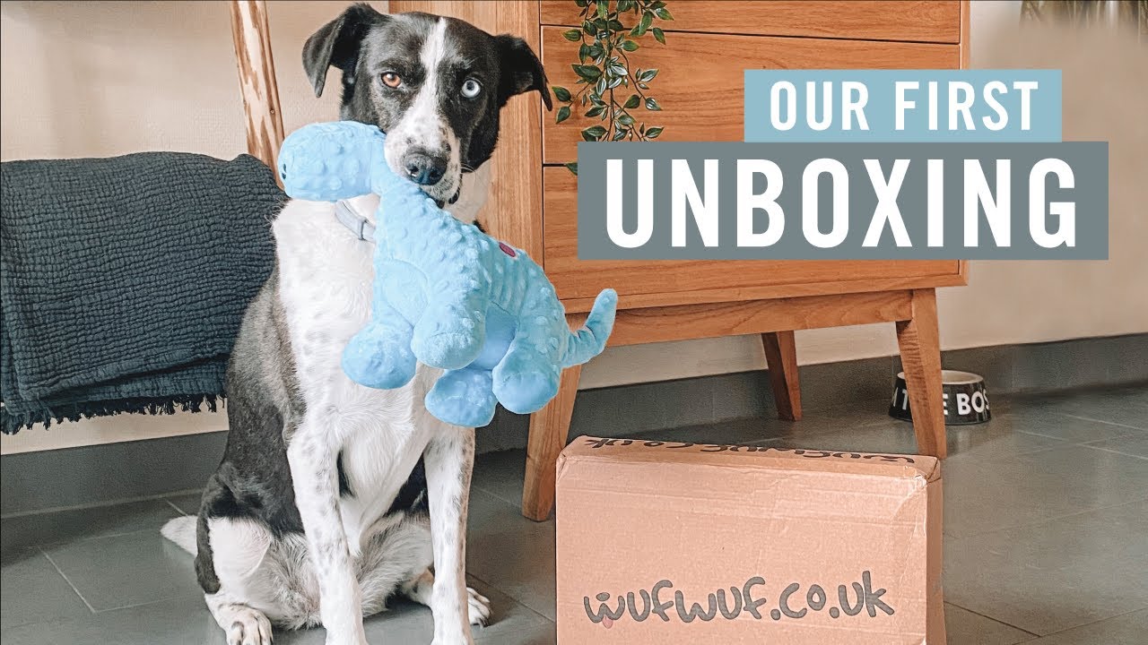 Wuf Wuf Dog Box 🐕 📦 | Unboxing and Review - YouTube